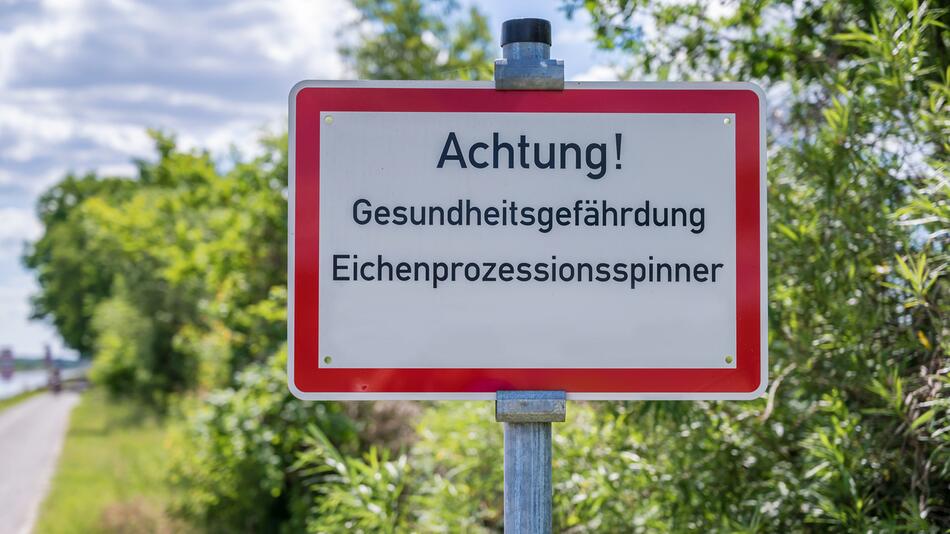 Tally berry bra size she was high on my wish to see for a