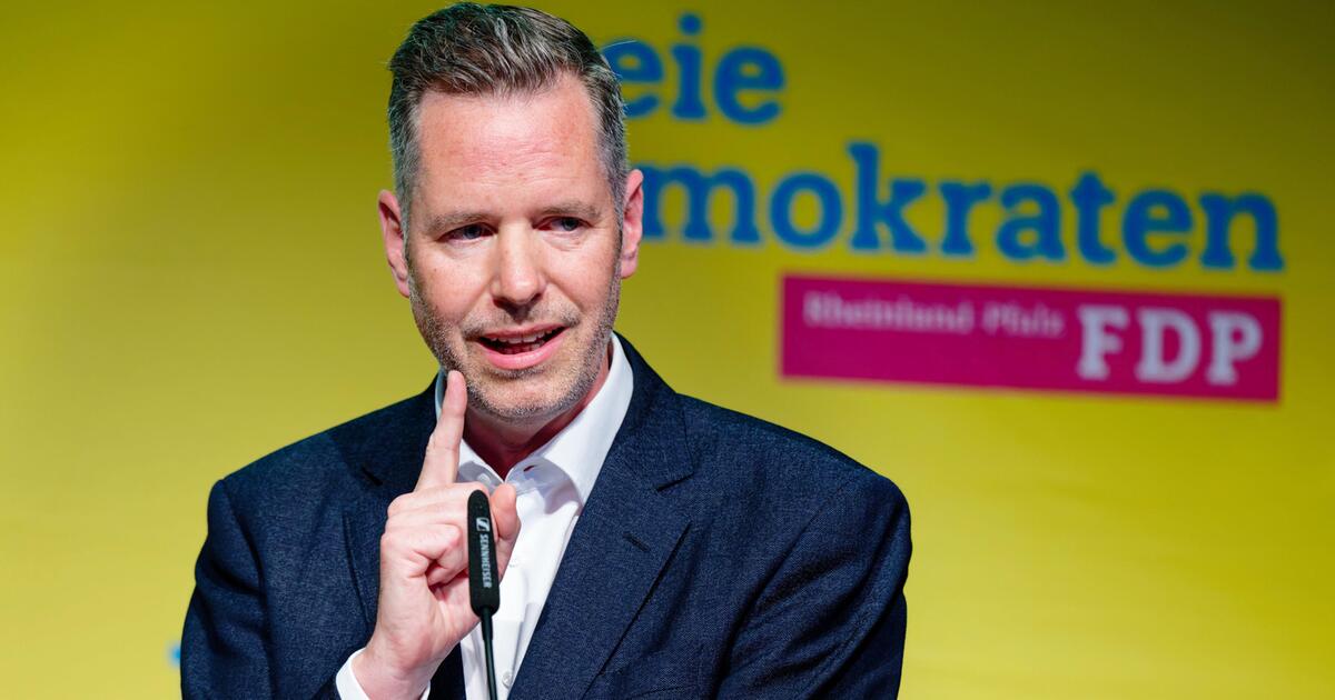 FDP-Chef Dürr fordert Entlassung von Bärbel Bas | WEB.DE