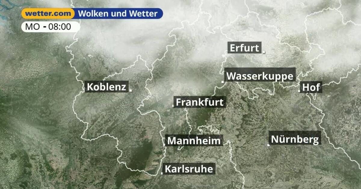 "Rhein-Neckar-Gebiet: Dein Wetter für Deine Region!" - Video | WEB.DE