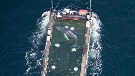 WEB.DE - kostenlose E-Mail-Adresse, FreeMail & Nachrichten