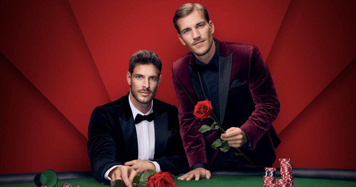 "Die Bachelors": Pikante Enthüllung beim Wiedersehen | WEB.DE
