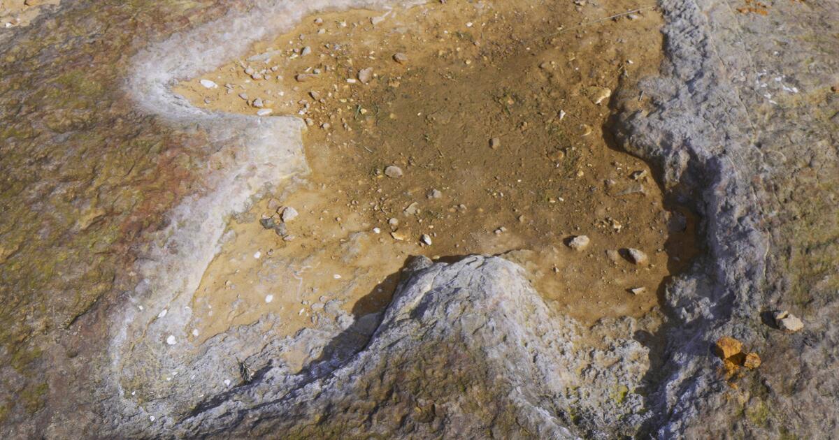 Isle of Skye: Fußabdrücke von Dinosauriern entdeckt | WEB.DE