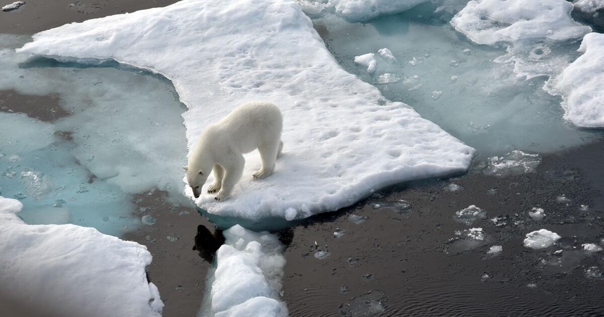 Meereis der Arktis auf zweitkleinste Fläche geschrumpft | WEB.DE
