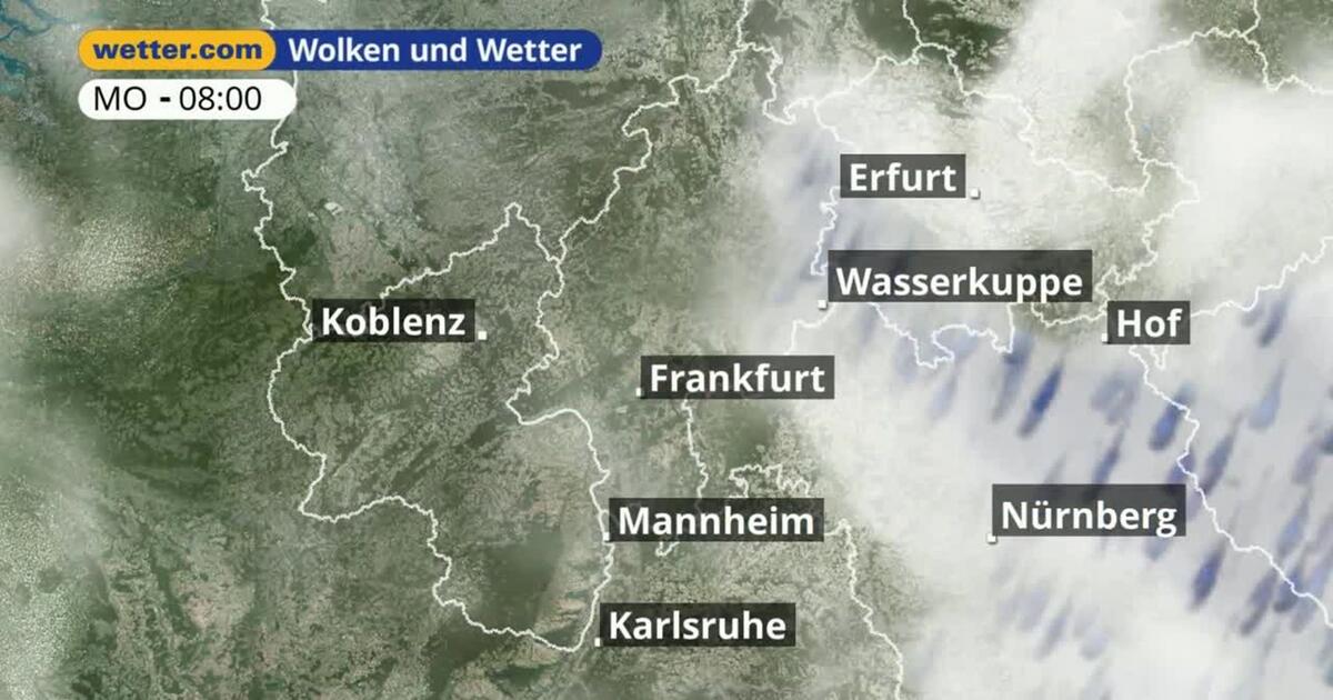 "Rhein-Neckar-Gebiet: Dein Wetter für Deine Region!" - Video | WEB.DE