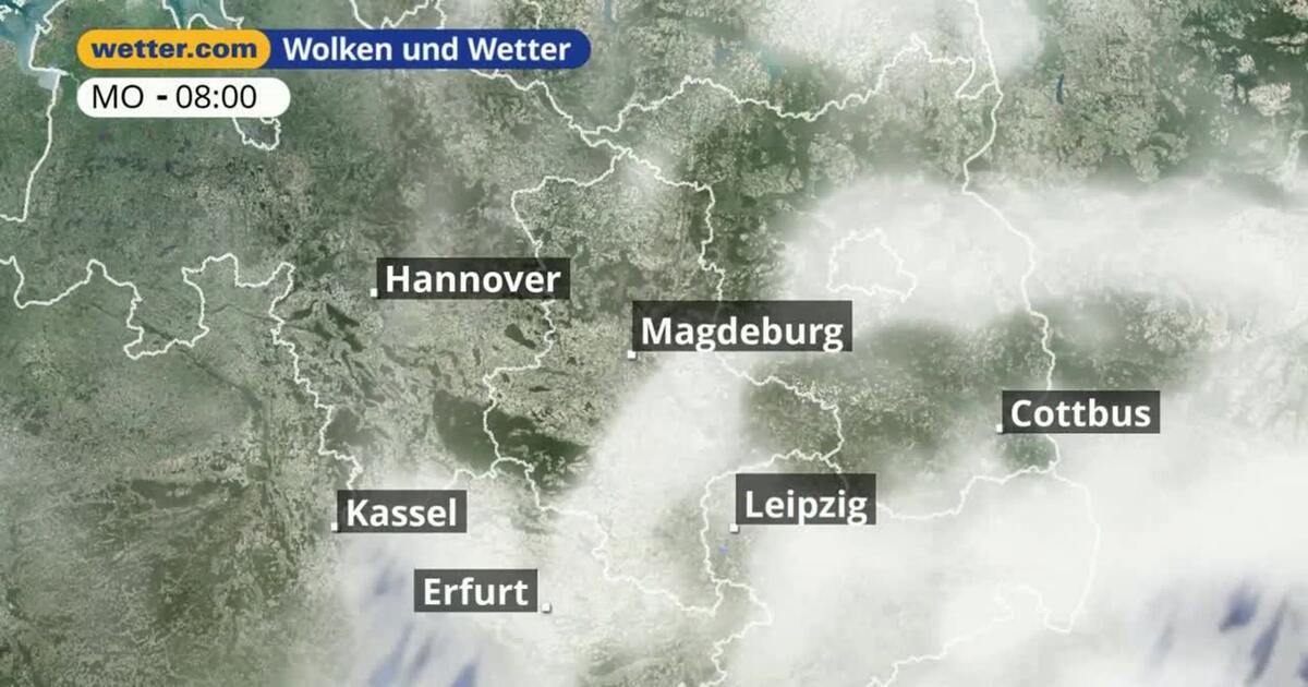 "Sachsen-Anhalt: Dein Wetter für Deine Region!" - Video | WEB.DE