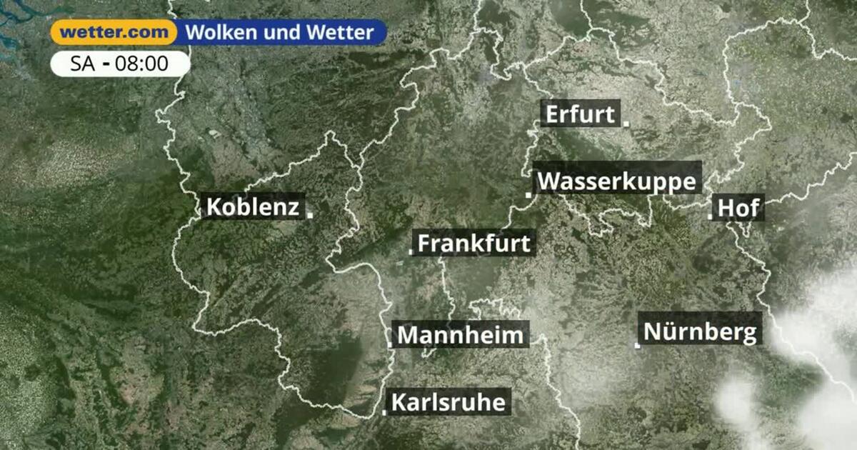 "Rhein-Neckar-Gebiet: Dein Wetter für Deine Region!" - Video | WEB.DE