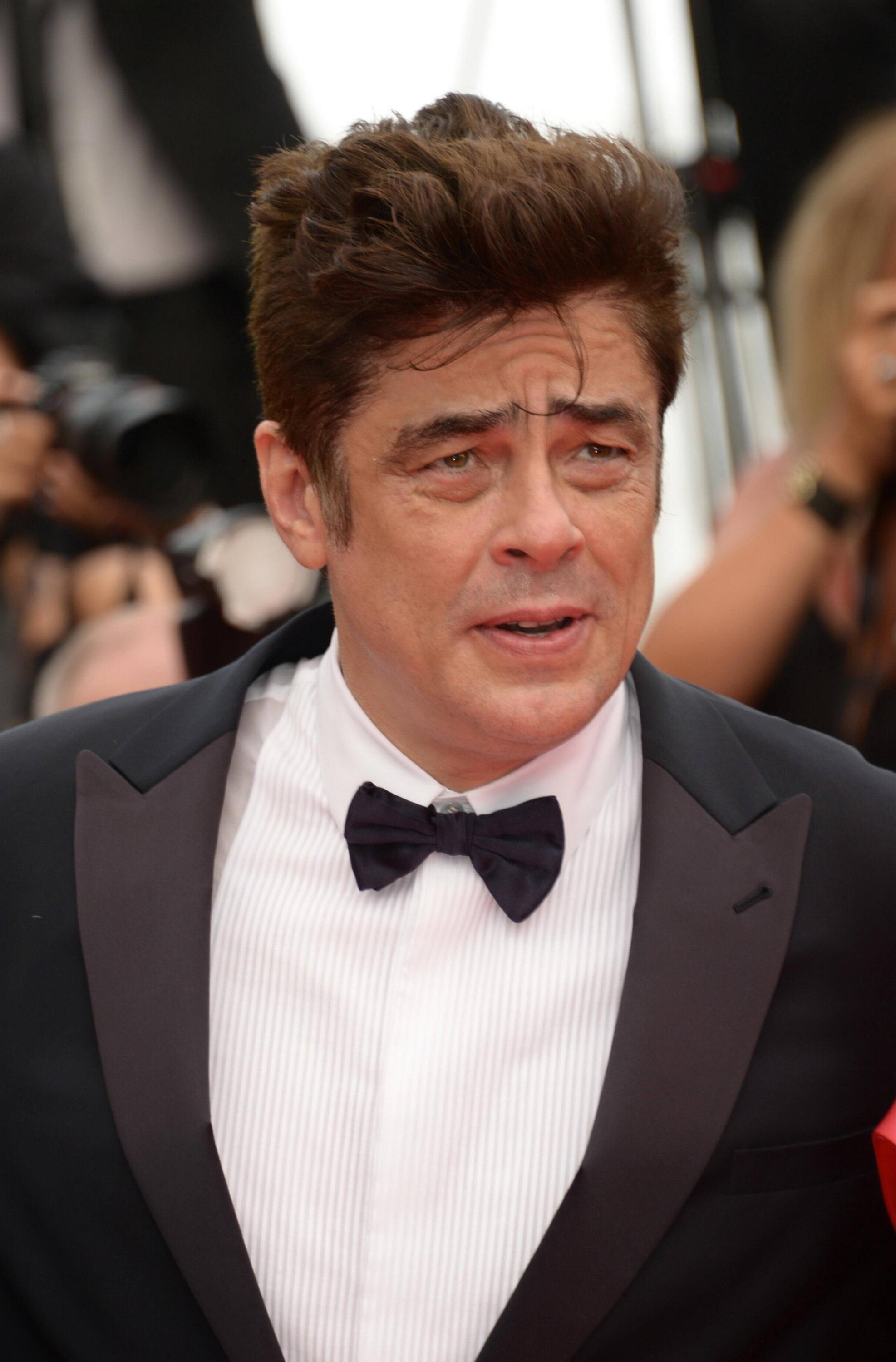 Benicio Del Toro De Verzamelaar Benicio Del Toro | Steckbrief, Bilder