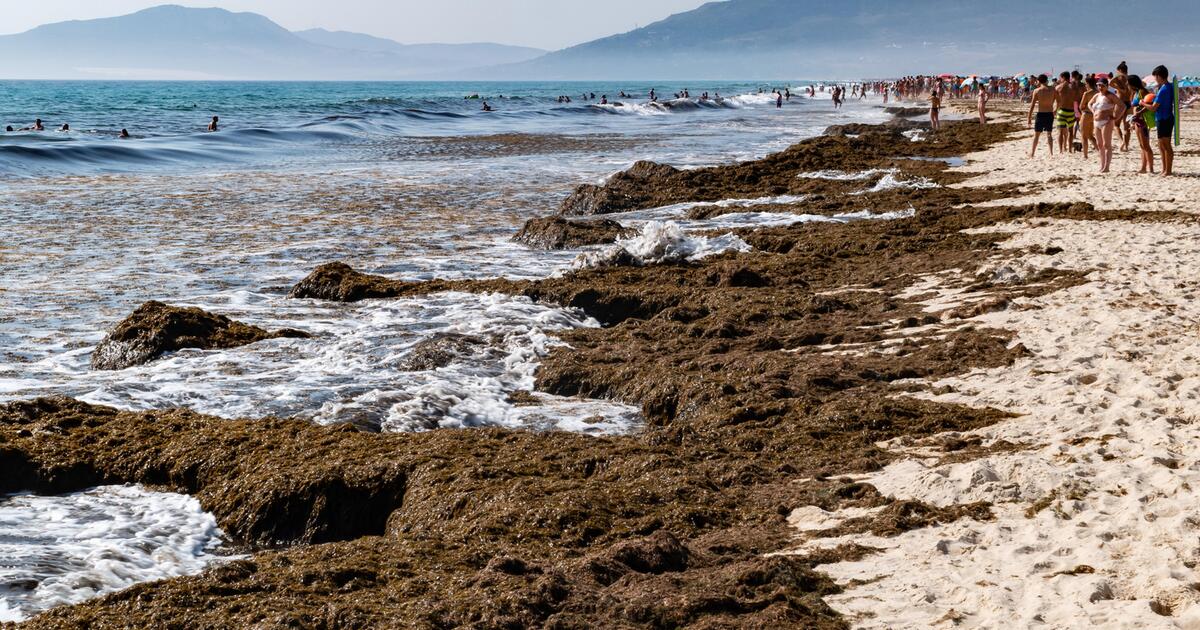 Tr altyazıporno scheduling was easy and the lady Sunny is