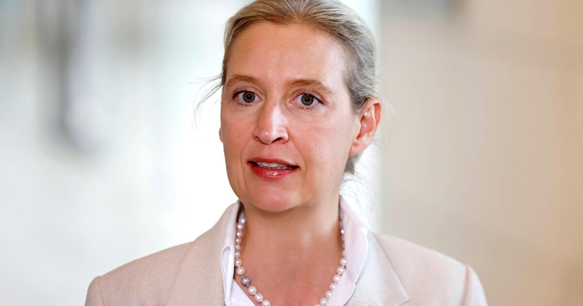 Weidel soll während Leandros-Konzert auf St. Emmeram gewesen sein | WEB.DE