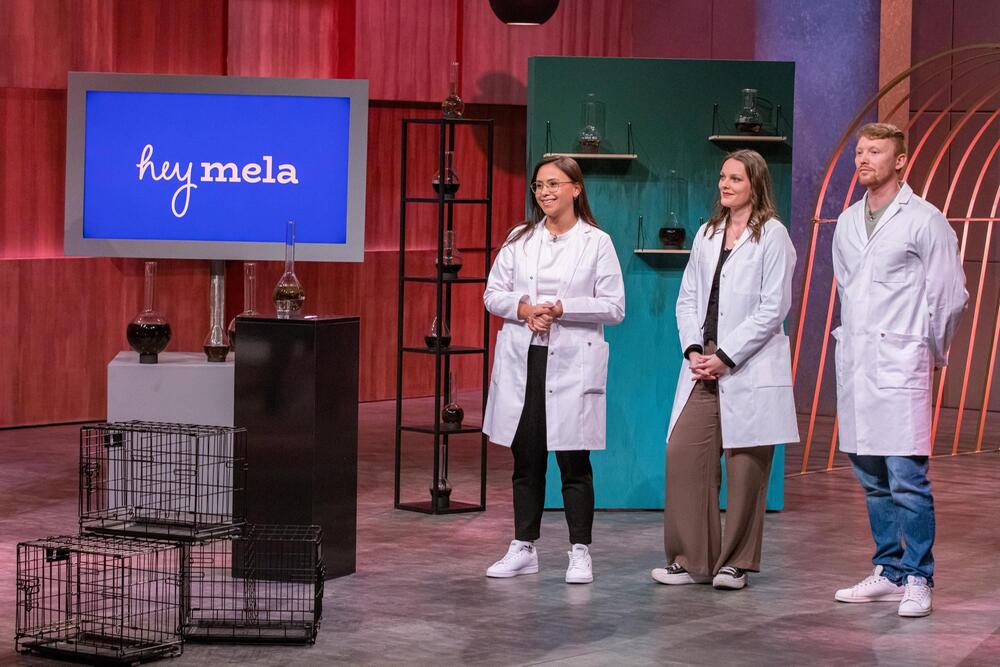 Löwin fällt gnadenloses Urteil: "Ihr seid schlechte Verkäufer" | WEB.DE